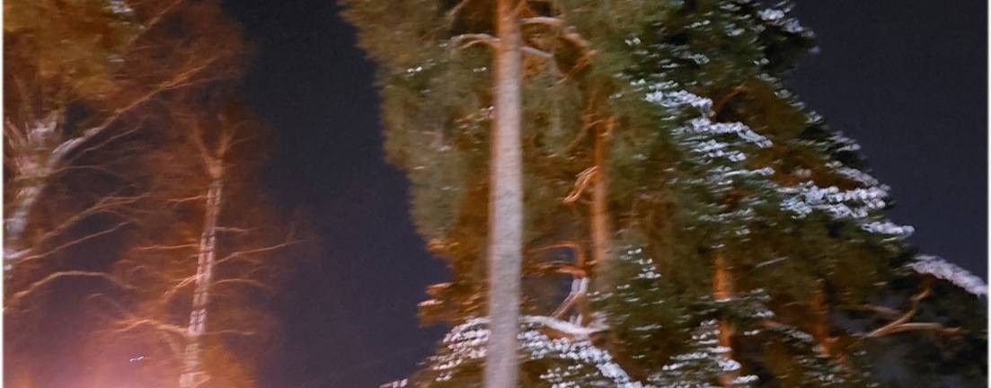 Reunite Broken Families