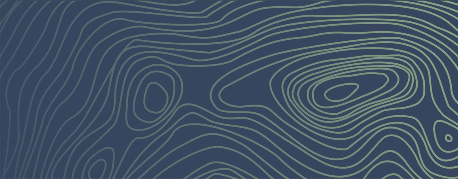 Гильдия ЛАИН