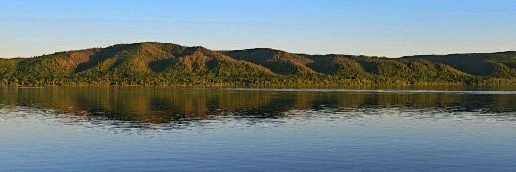 Роман Шестеркин. Supboard Балаково