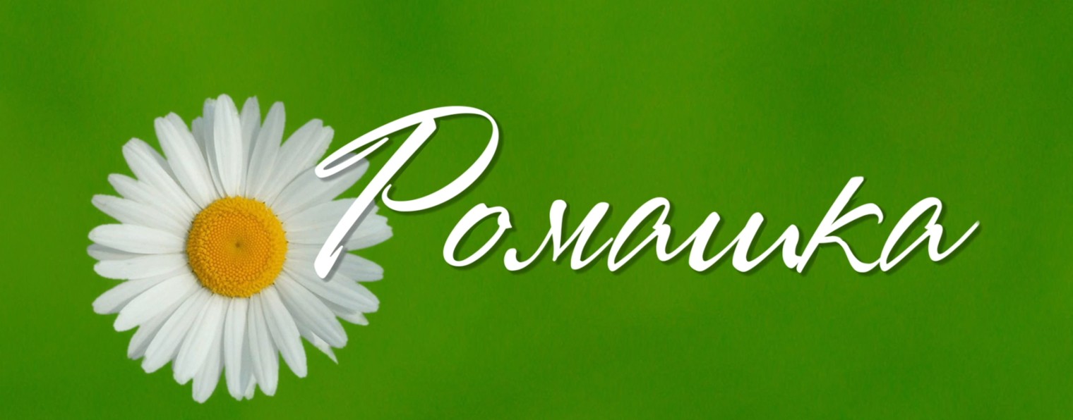 Стоматологический магазин "Ромашка"