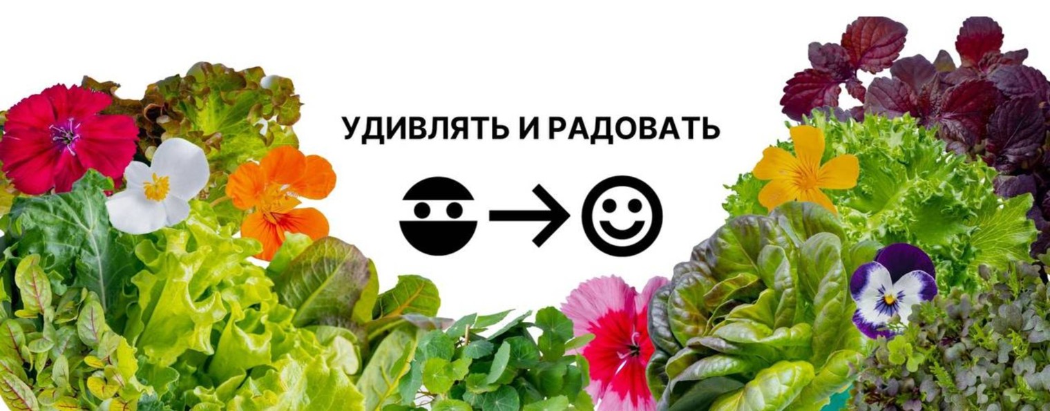 Ниндзя гудс