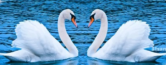 Владимир Алейников