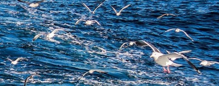 АО Р/К Восток-1