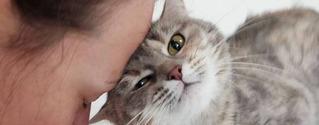 Хвостатые соседи