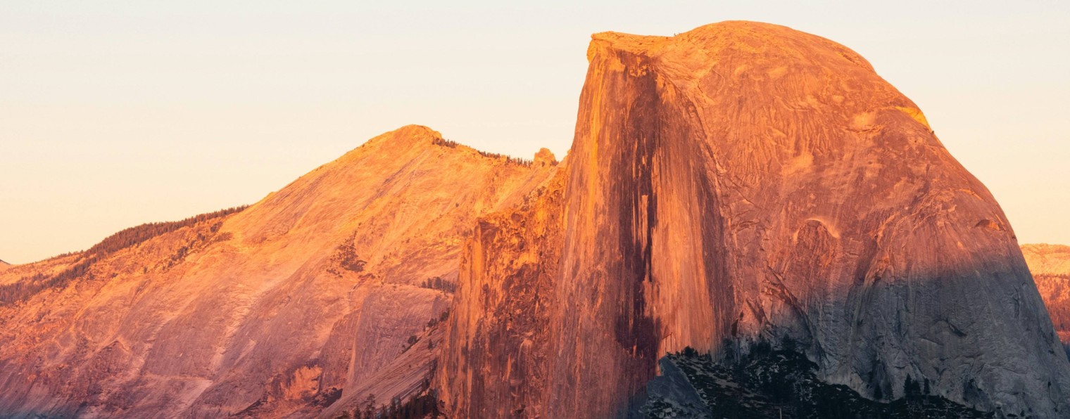 Чазова Анастасия