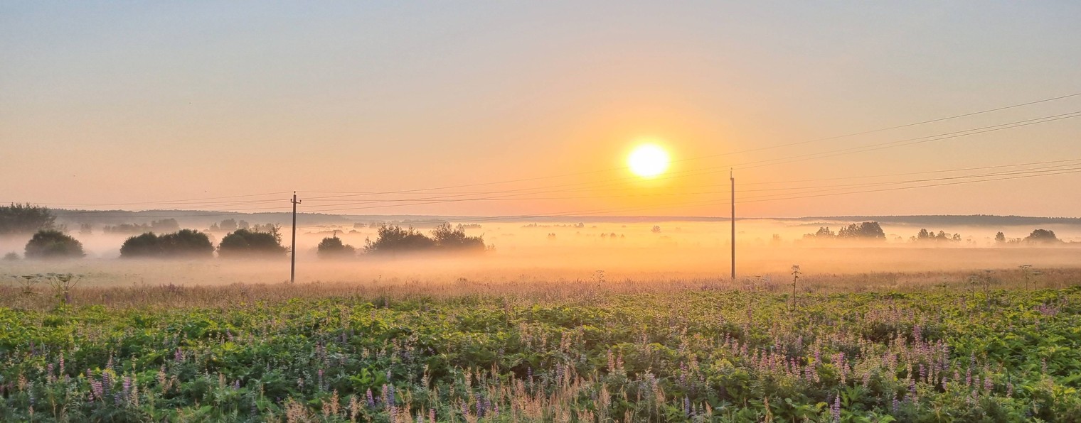 РУМЯНЦЕВ ПРО