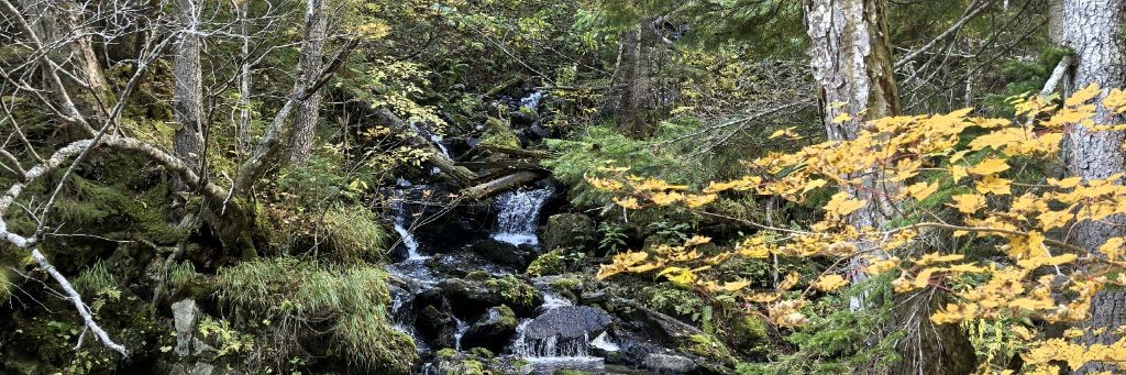 Анна Семибратова