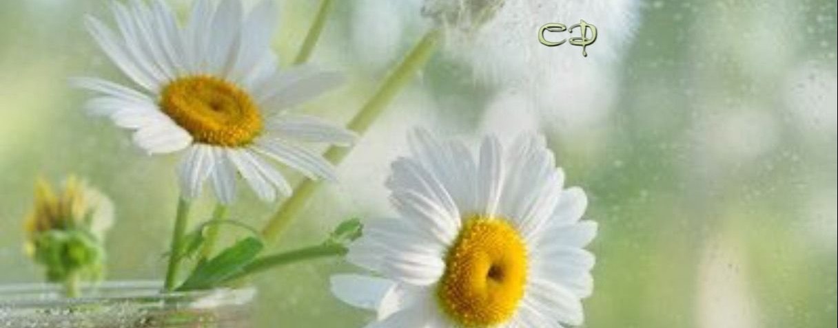 Оксана Викторовна