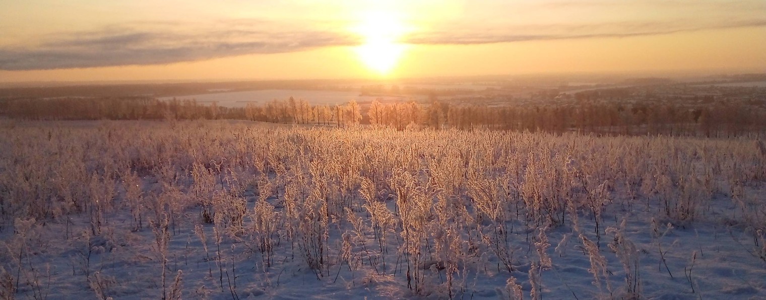 Фотоохота с Альбертом.