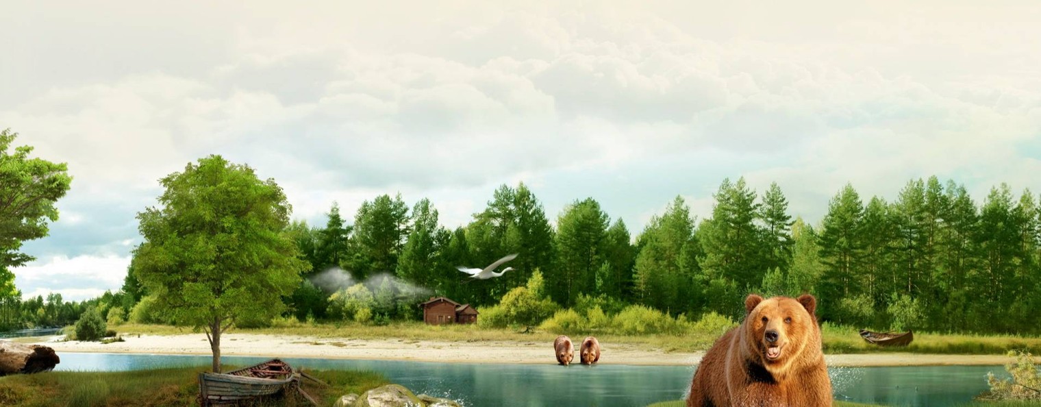 Николай Шерстенников ВСТ