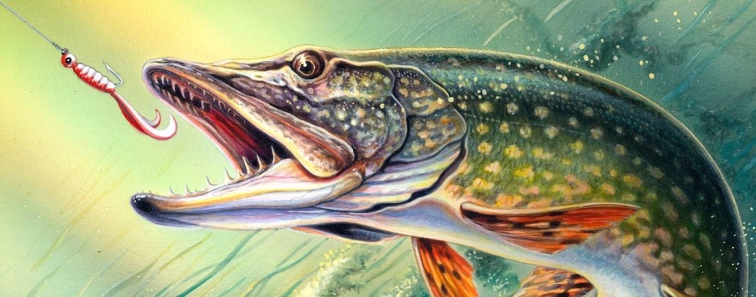 Сибирский ЁРШ