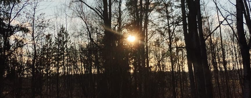 Авто Гараж 888 г Коломна