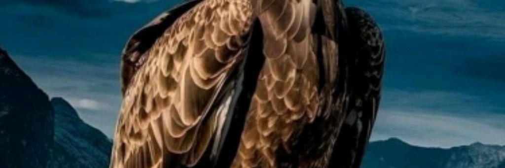 Лекьрен макан