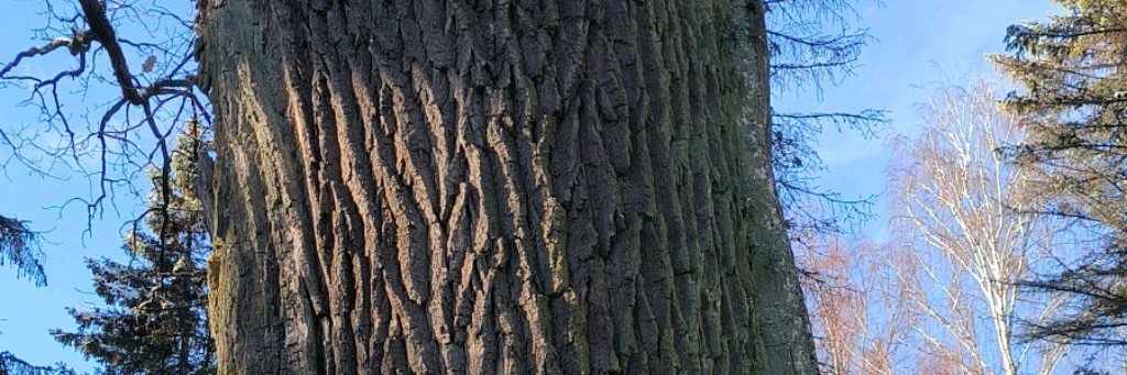 Пусть зима приходит позже)