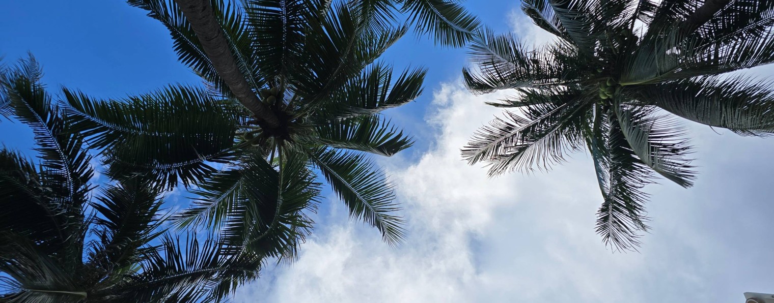 Вредина и К♥