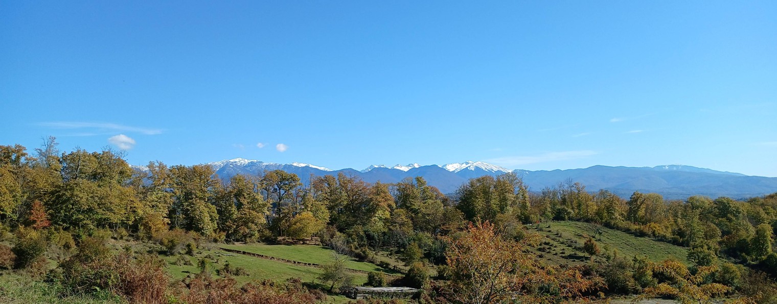 Конные прогулки"Лазурная долина" у Ерванта|г.Адлер
