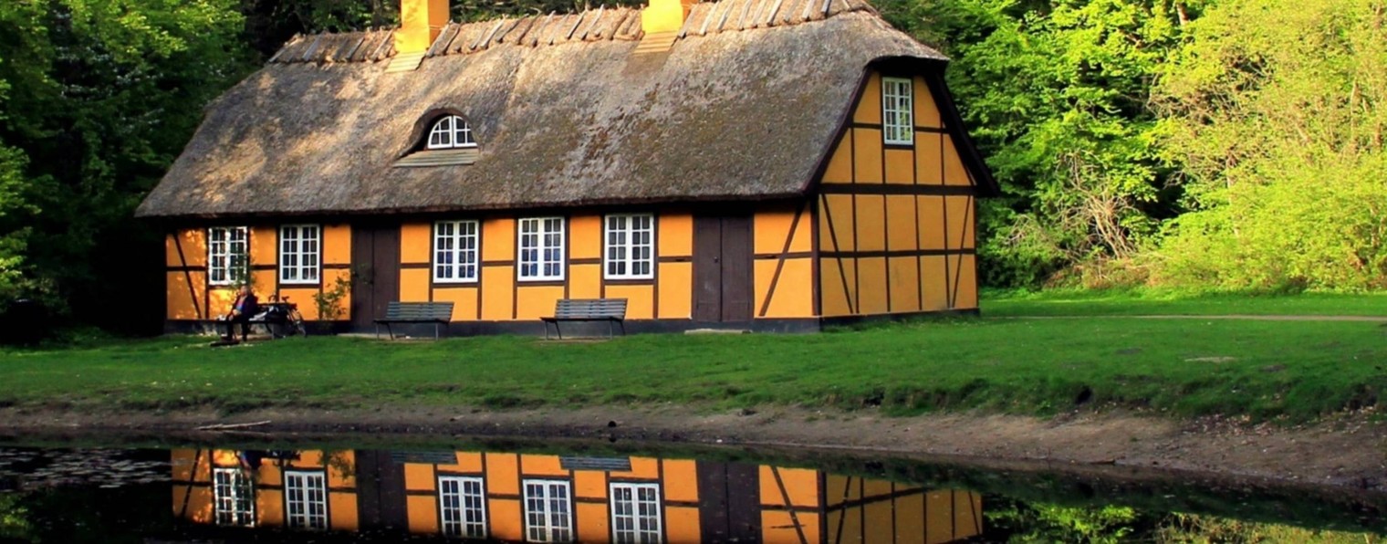 Евгений Палеев