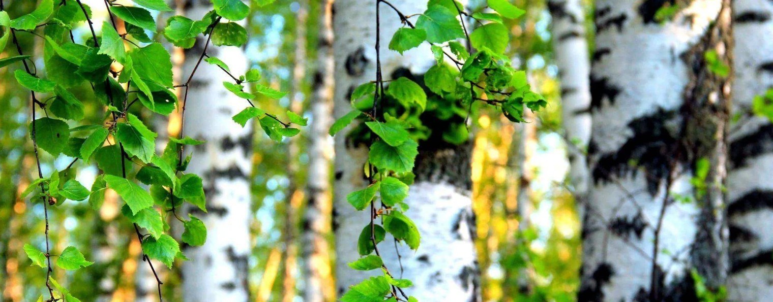 Русская Резьба