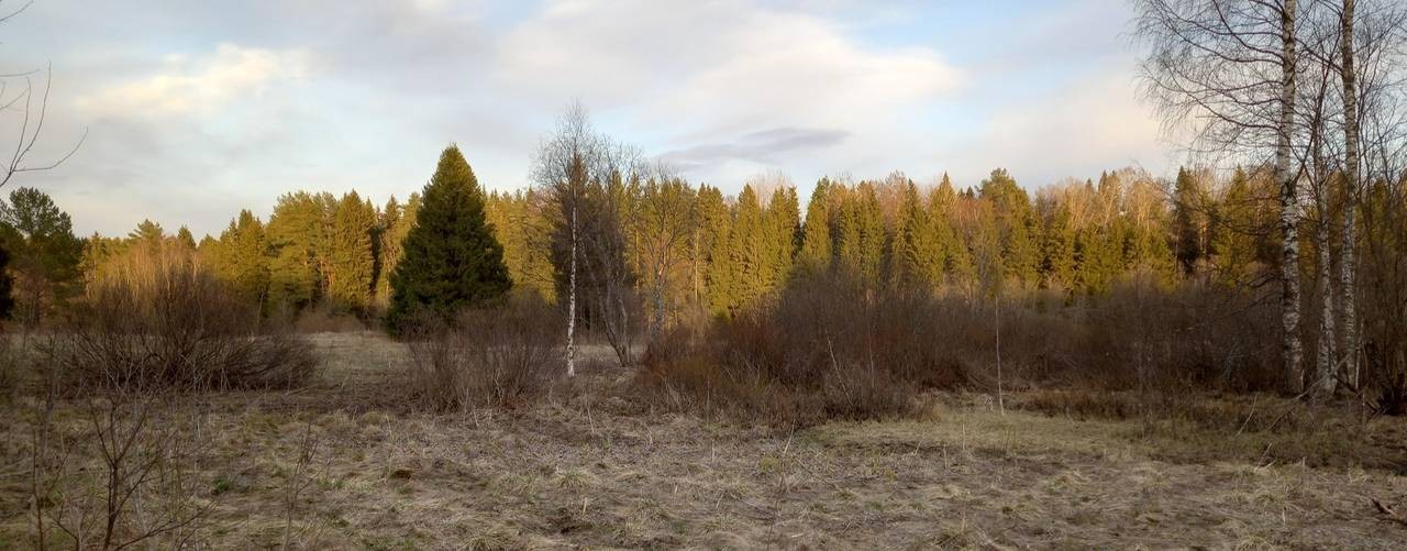 ОХОТНИЧЬЕ СЧАСТЬЕ