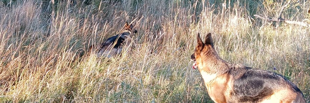 Моя семейка