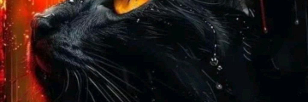 Kot Tikhon