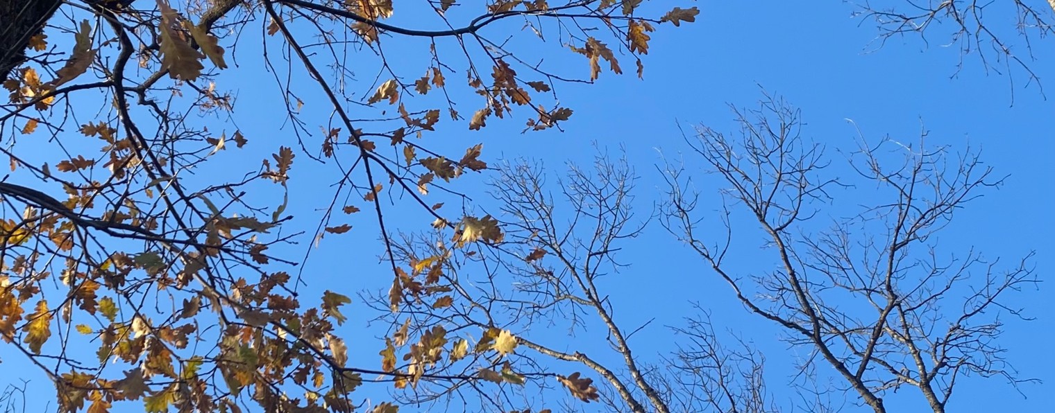 "КМВ КИСЛОВОДСК" - путёвки в САНАТОРИИ КАВМИНВОД