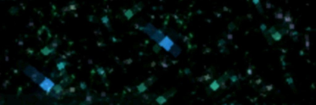 Бархатные тяги