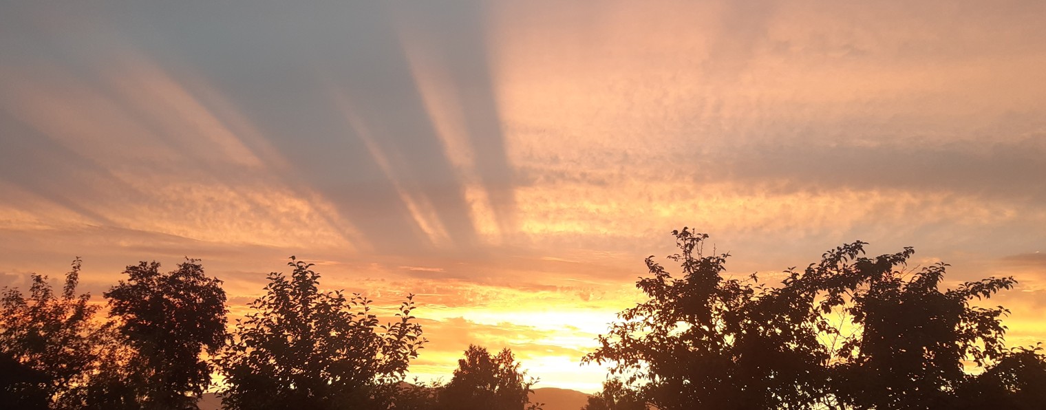 Евгений Алексеев