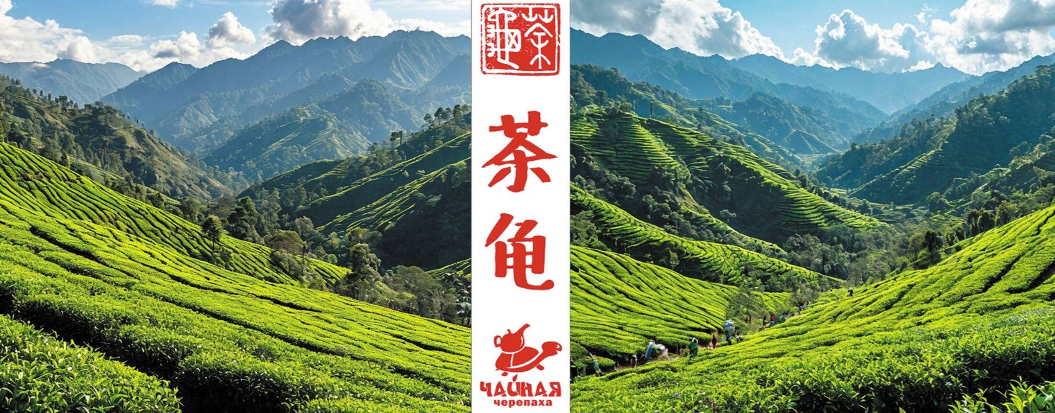 Чайная Черепаха