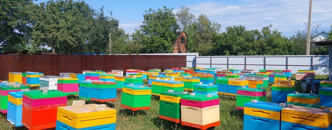 Передовые технологии пчеловодства