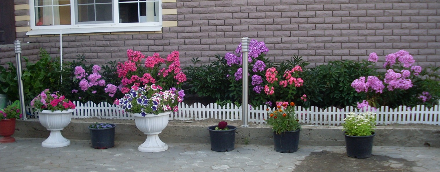 Жизнь в деревне с Галиной.