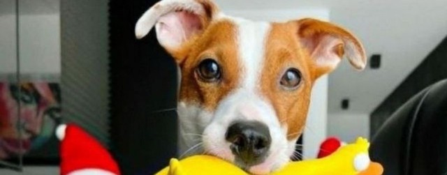 Миша 2 канал