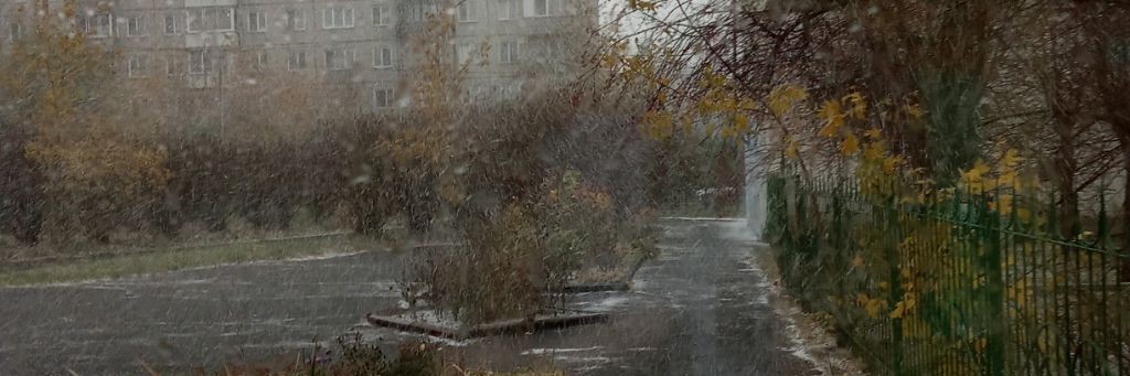 Яблочный Сад🍎