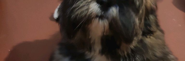 Юся Live♡♡♡☑️