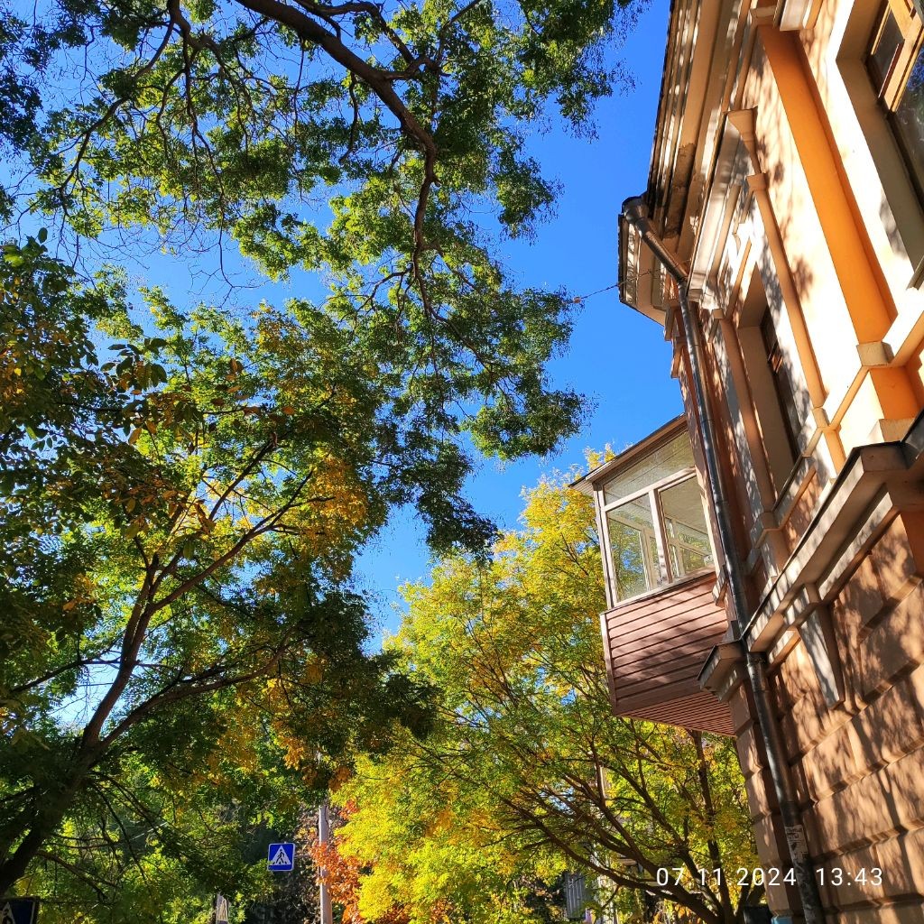 Лианна Каушанская. Играю разные мелодии 🎻❤️👉