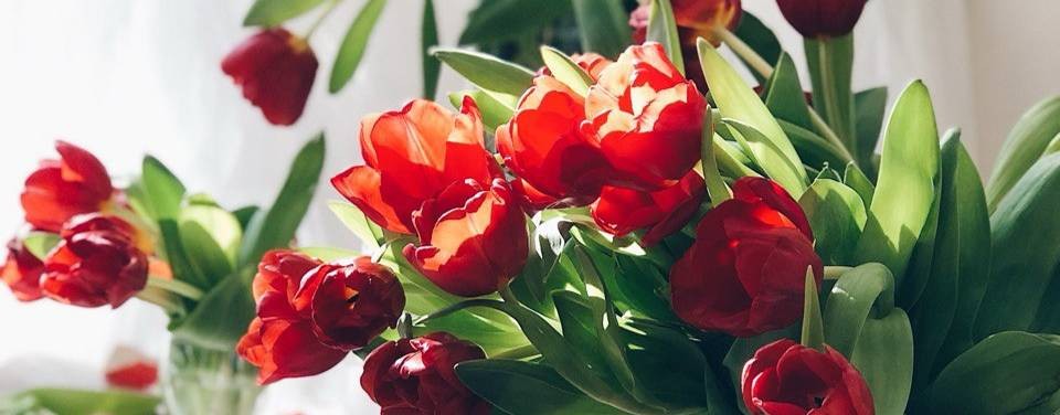 Философия счастливых женщин