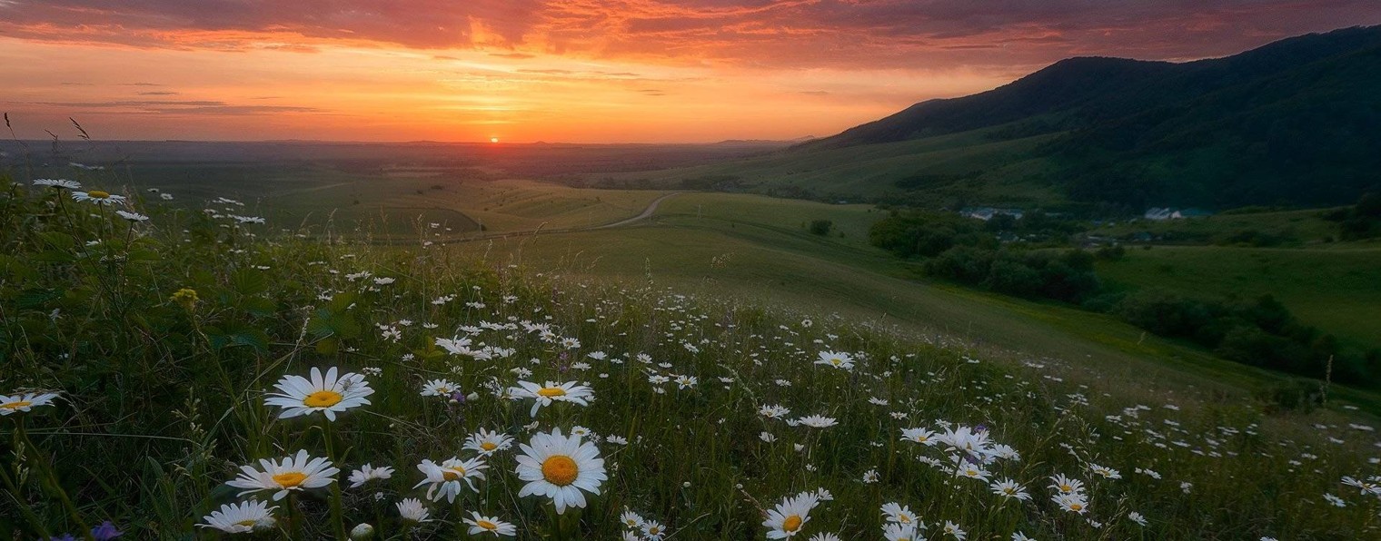 Любоград - площадка для творчества
