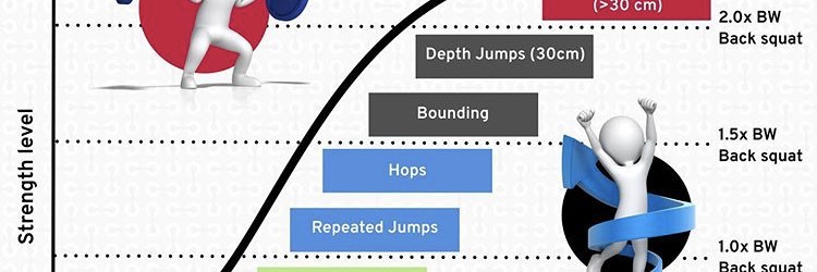 Физическая подготовка (Библиотека упражнений)