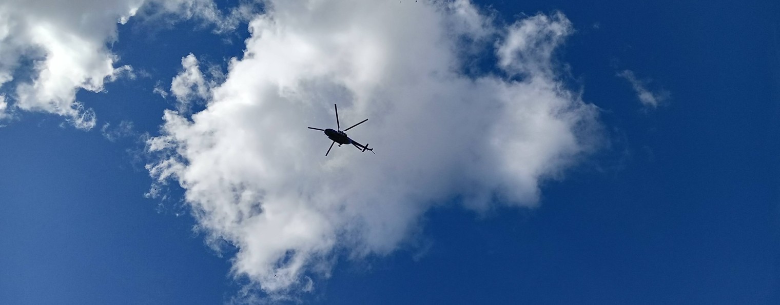 (((путешественник)))