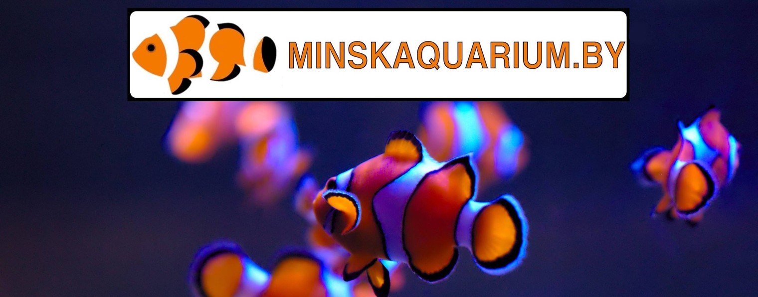 MinskAquarium
