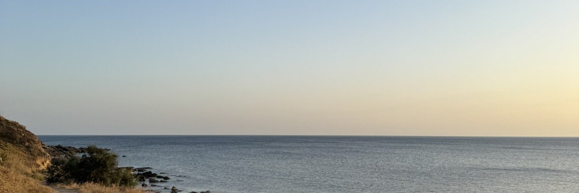 Мартынова Елизавета