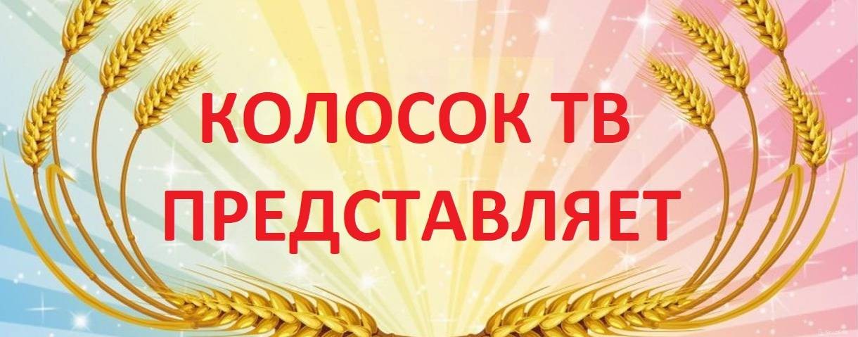 TV Колосок