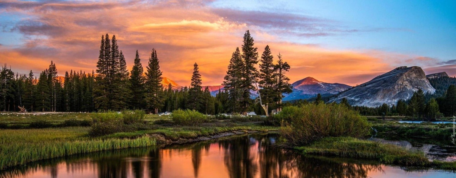 Студия ВЕДА