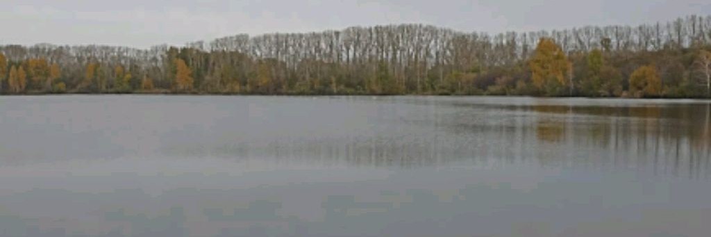 Животный мир