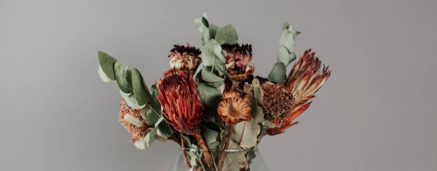 Dried  Flowers Moscow, магазин сухоцветов