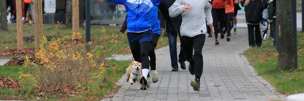 СОКОЛИНОГОРЕЦ