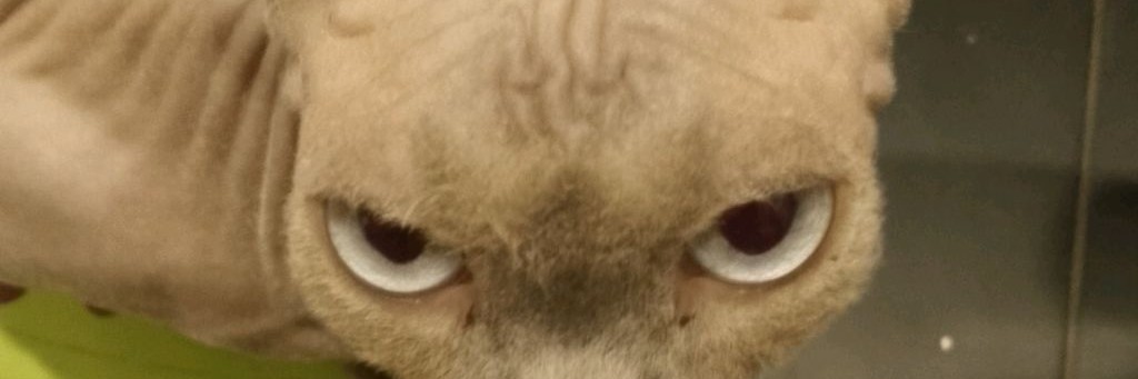 🪩👑❤🔥★‡Викусик‡★❤🔥👑🪩