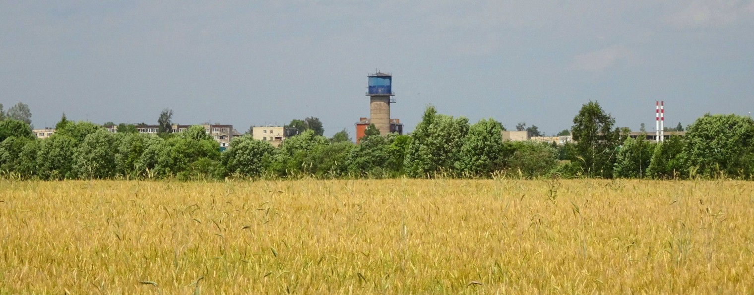 Сланцы не тапки