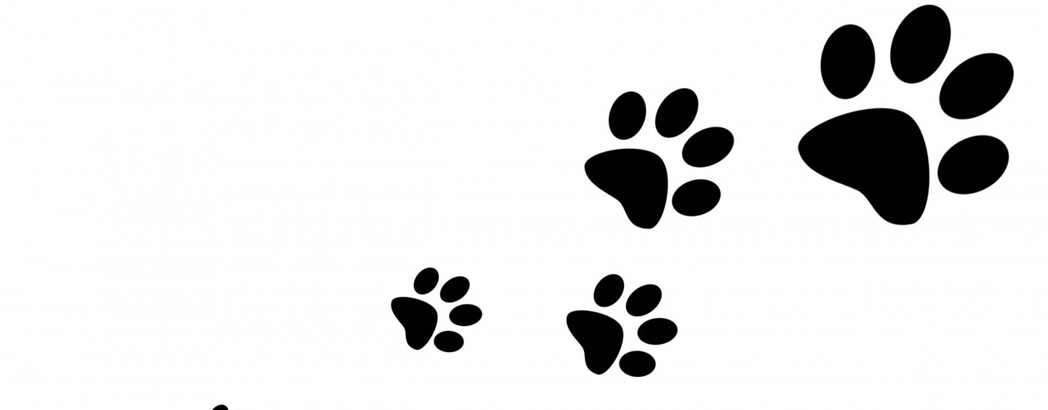 Лапки-Тапки