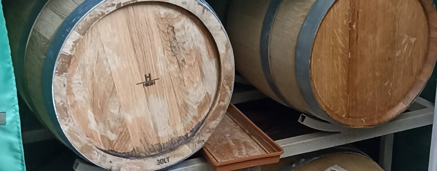 Бодрые напитки